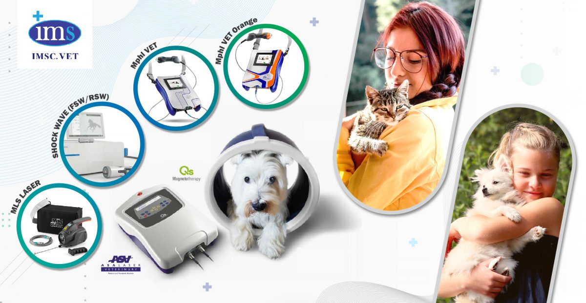 Vet Home – IBL กายภาพบำบัดในสัตว์